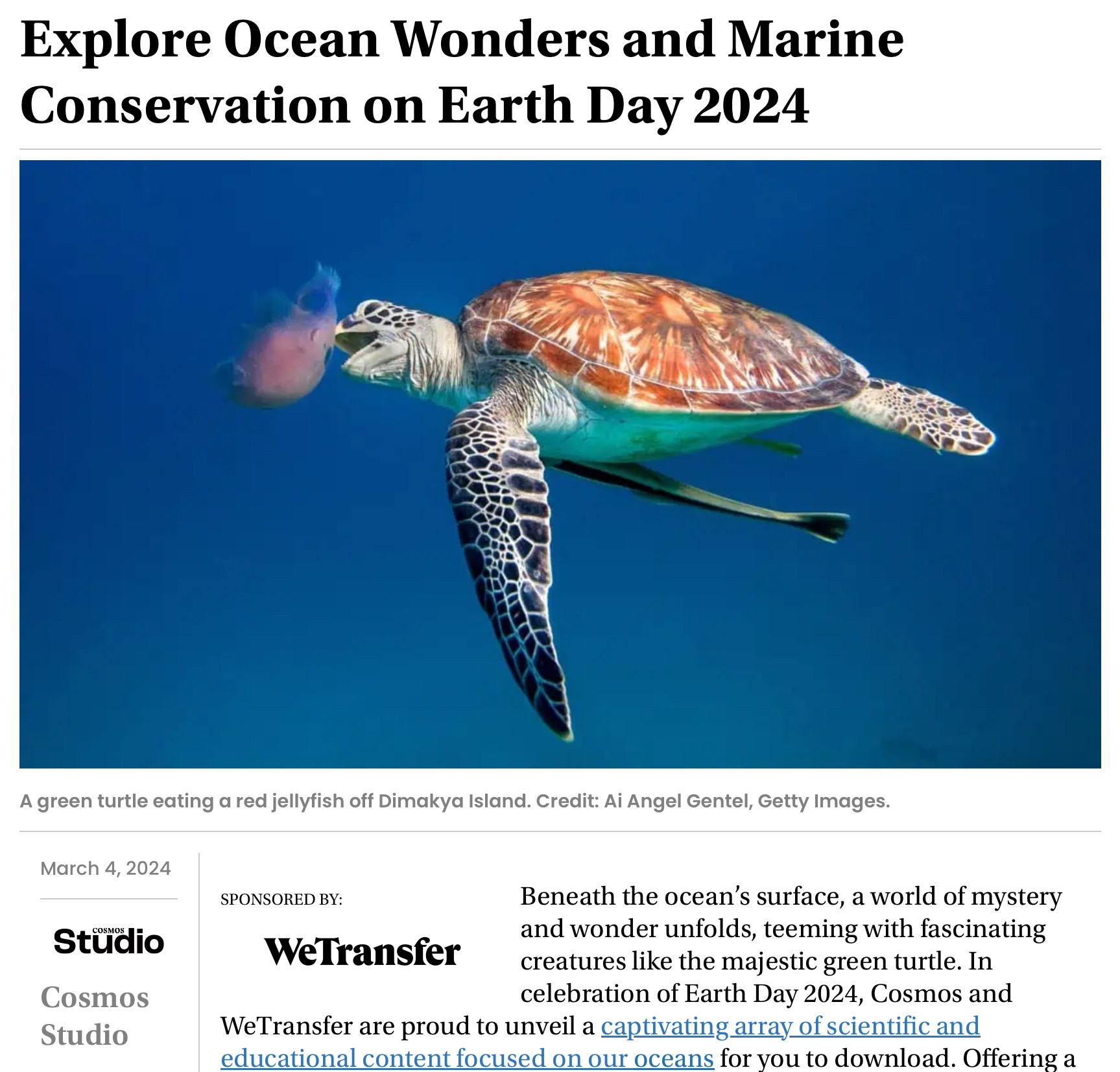 Explore Ocean Wonders and Marine Conservation — Article | K. M. Wade